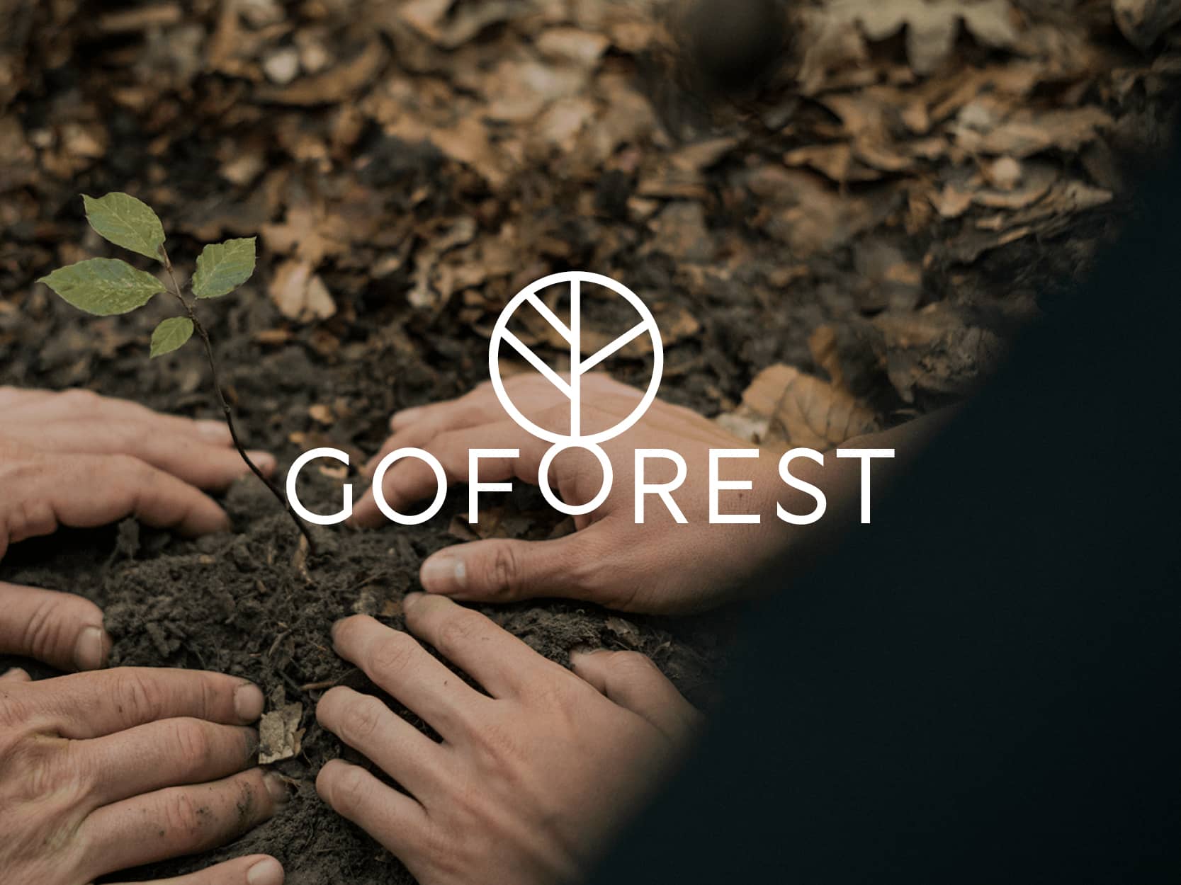 We care - DICE Outdoor